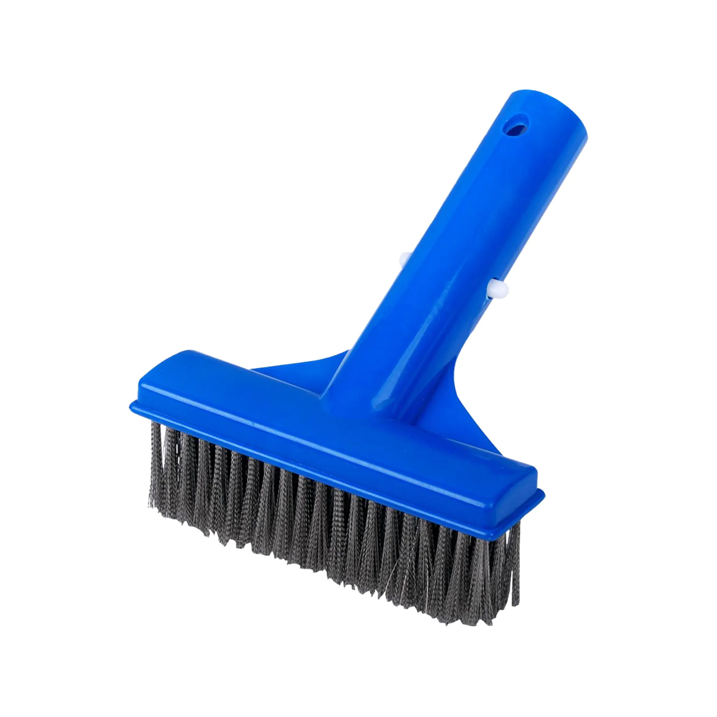 Alga kefe 5” - Medencepont